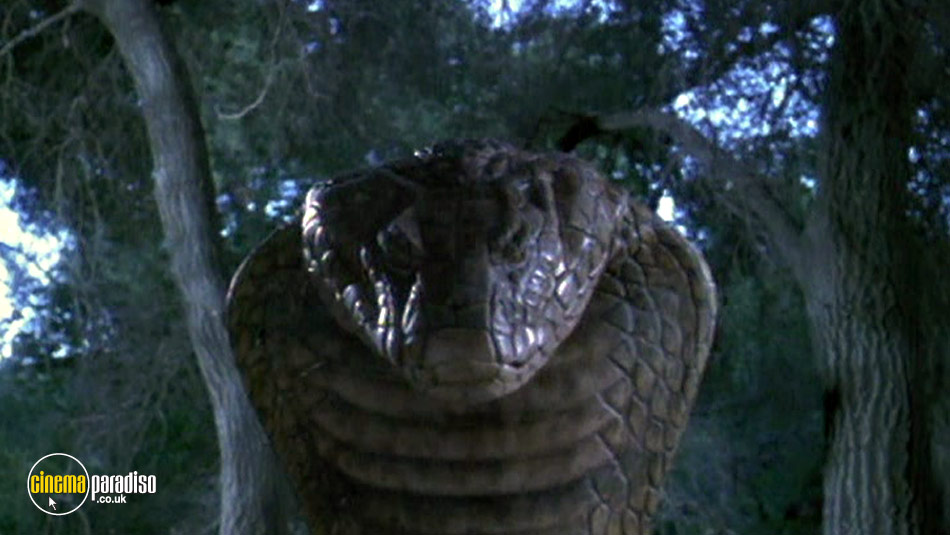 Rent King Cobra 1999 Film CinemaParadiso co uk Rent King Cobra 1999 Film CinemaParadiso co uk