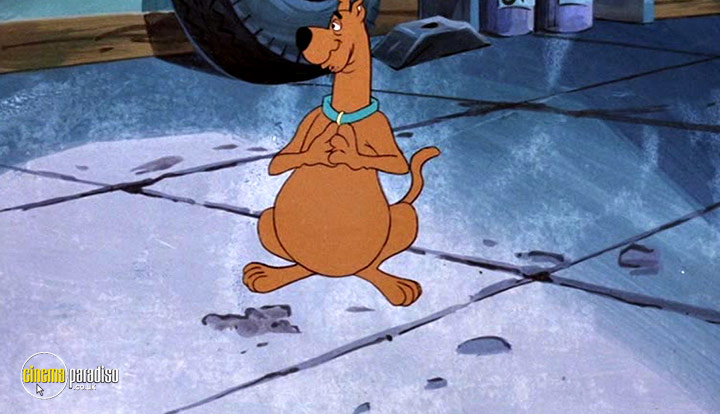 Cinema Paradiso 4K Blu-ray, Blu-ray & DVD Rental service