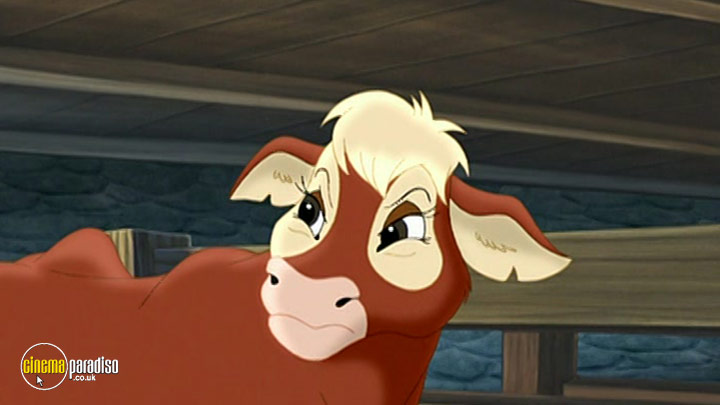 Cinema Paradiso 4K Blu-ray, Blu-ray & DVD Rental service