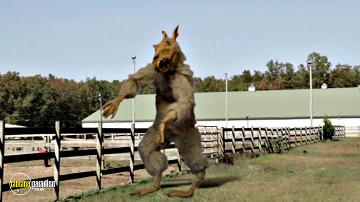 Cinema Paradiso 4K Blu-ray, Blu-ray & DVD Rental service