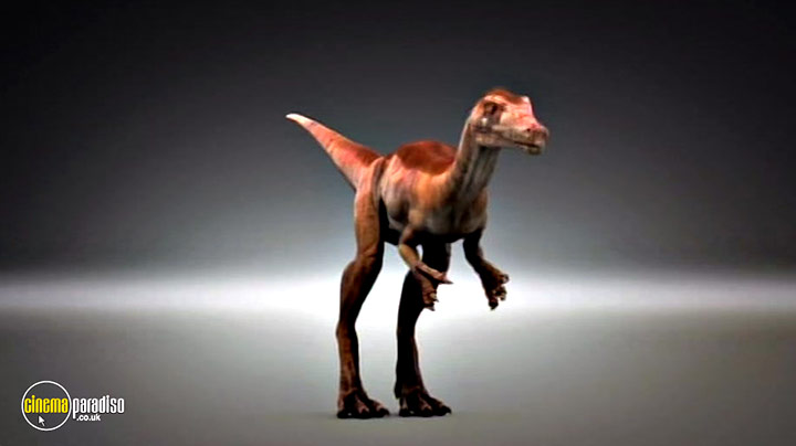 Cinema Paradiso 4K Blu-ray, Blu-ray & DVD Rental service