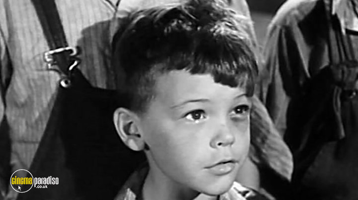 Cinema Paradiso 4K Blu-ray, Blu-ray & DVD Rental service