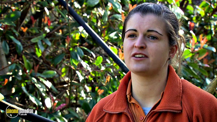 Cinema Paradiso 4K Blu-ray, Blu-ray & DVD Rental service