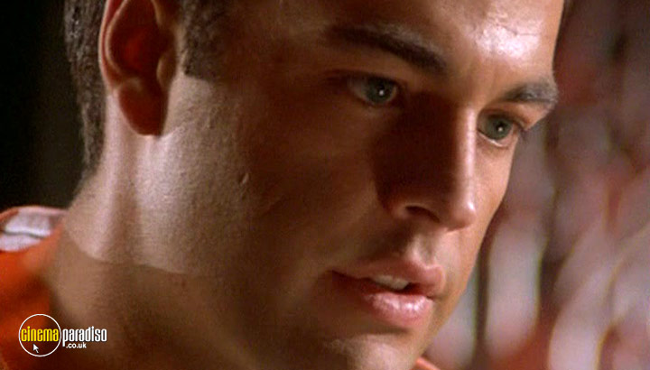 Cinema Paradiso 4K Blu-ray, Blu-ray & DVD Rental service