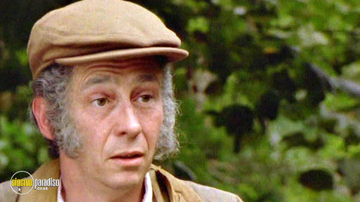 Cinema Paradiso 4K Blu-ray, Blu-ray & DVD Rental service