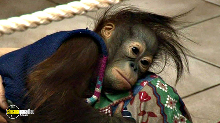 Cinema Paradiso 4K Blu-ray, Blu-ray & DVD Rental service