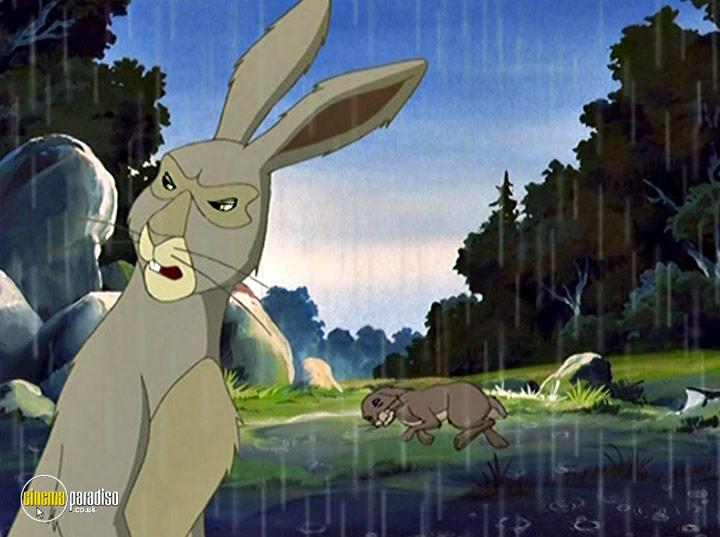 Cinema Paradiso 4K Blu-ray, Blu-ray & DVD Rental service