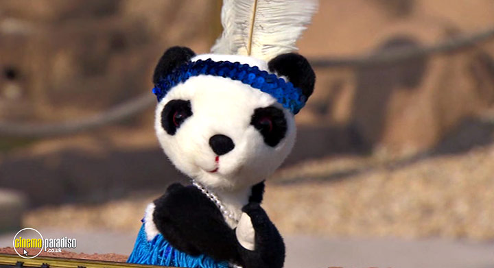 Cinema Paradiso 4K Blu-ray, Blu-ray & DVD Rental service