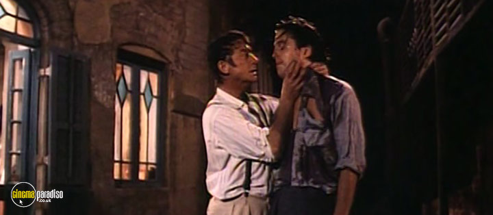 The bengali night - precisionloced