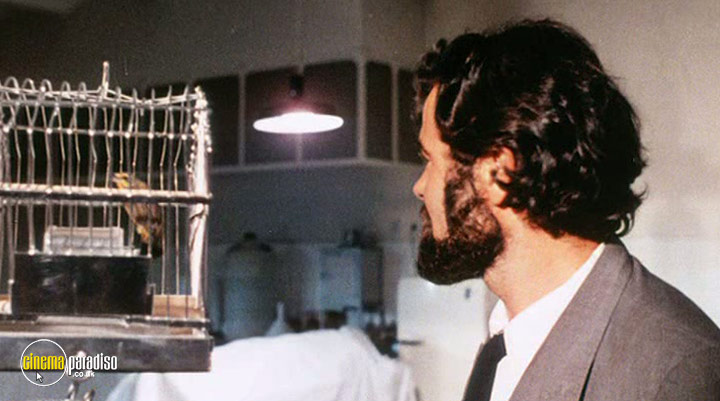 Cinema Paradiso 4K Blu-ray, Blu-ray & DVD Rental service