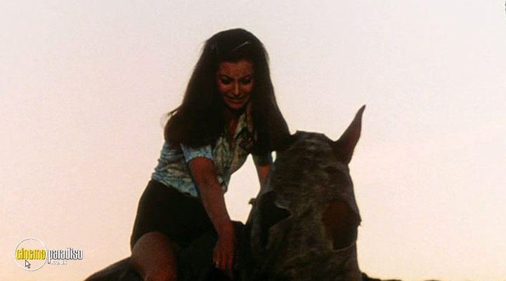 Cinema Paradiso 4K Blu-ray, Blu-ray & DVD Rental service