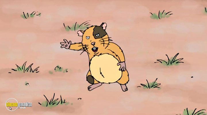 Cinema Paradiso 4K Blu-ray, Blu-ray & DVD Rental service