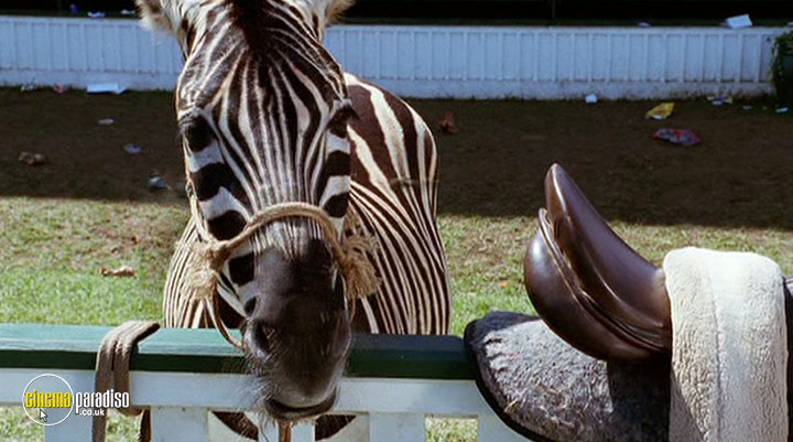 Cinema Paradiso 4K Blu-ray, Blu-ray & DVD Rental service