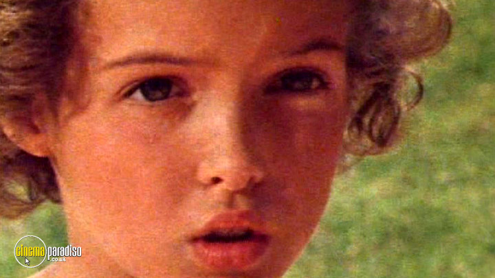Cinema Paradiso 4K Blu-ray, Blu-ray & DVD Rental service