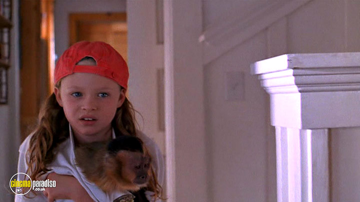 Cinema Paradiso 4K Blu-ray, Blu-ray & DVD Rental service