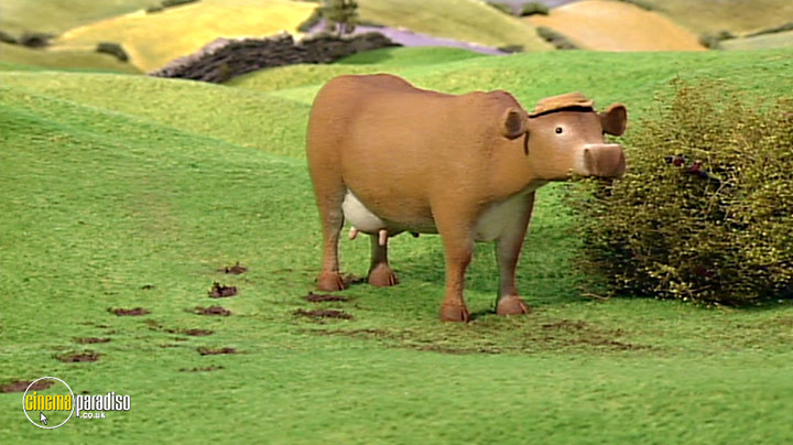 Cinema Paradiso 4K Blu-ray, Blu-ray & DVD Rental service