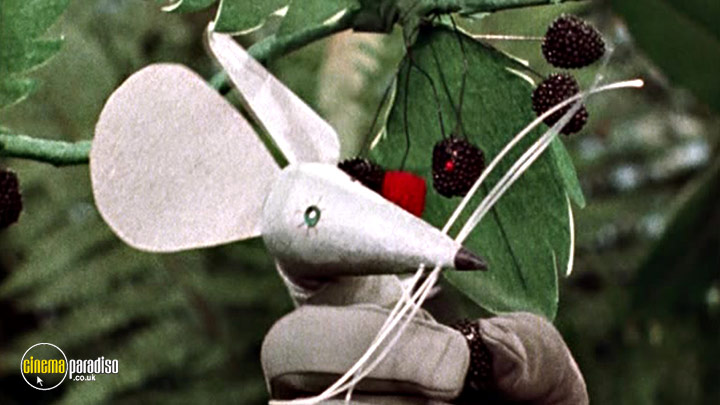 Cinema Paradiso 4K Blu-ray, Blu-ray & DVD Rental service