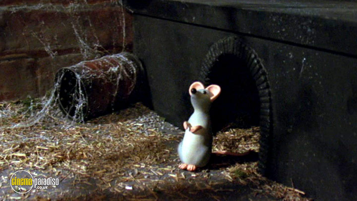 Cinema Paradiso 4K Blu-ray, Blu-ray & DVD Rental service