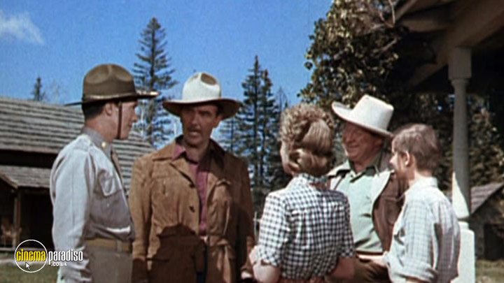 Cinema Paradiso 4K Blu-ray, Blu-ray & DVD Rental service