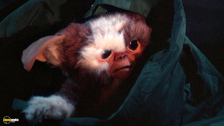 Cinema Paradiso 4K Blu-ray, Blu-ray & DVD Rental service